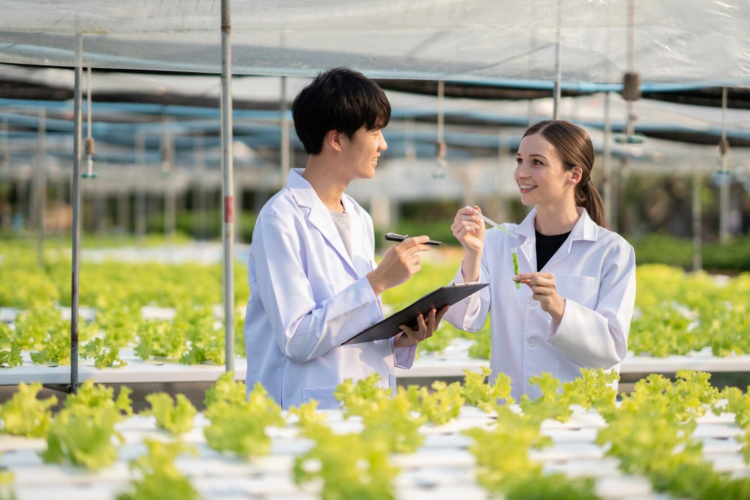 RTR ENG AGRO – RTR ENG AGRO